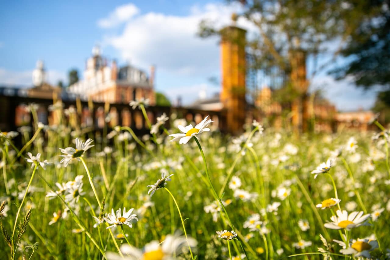 The Arrival of Spring - Wellington College