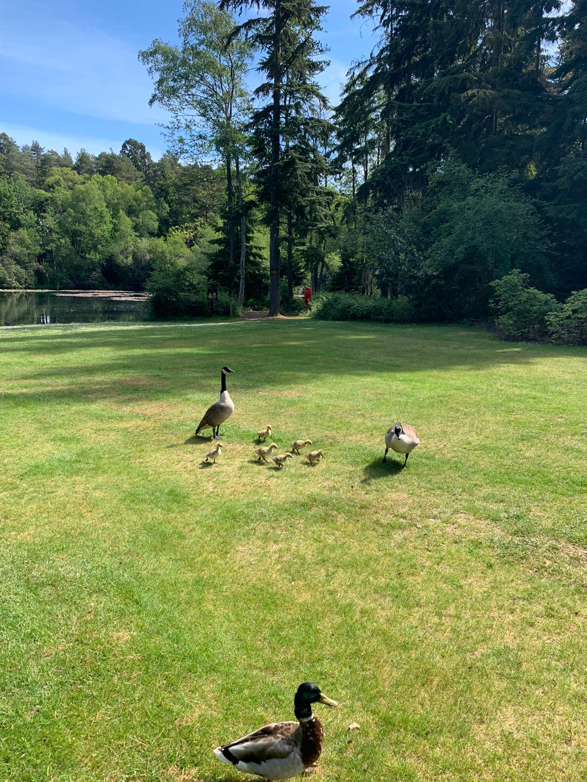 The Arrival of Spring - Wellington College