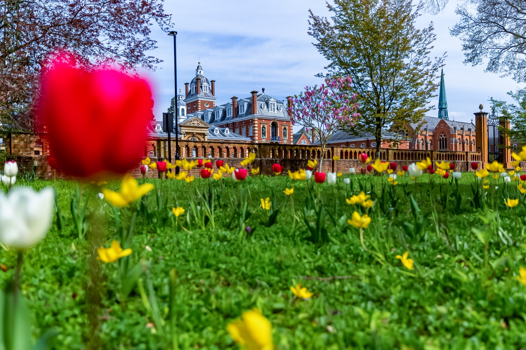 The Arrival of Spring - Wellington College